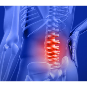 Understanding the Anatomy of the Lower Back – BodyHeal