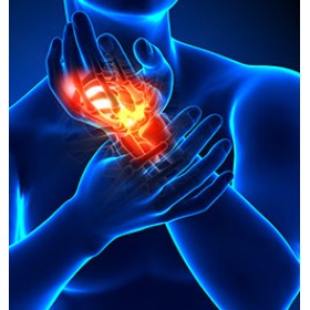 Understanding The Anatomy of the Wrist – BodyHeal